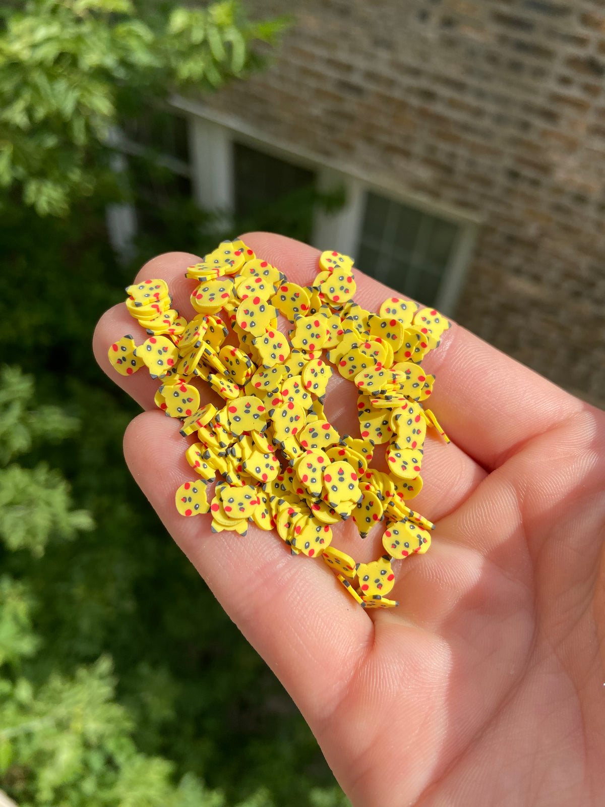 Pika Polymer Slices | Pipmine